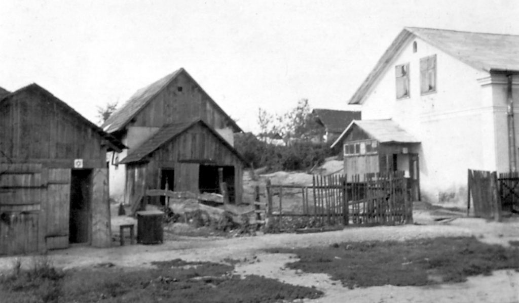 The Katzmann Report and Rohatyn – Rohatyn Jewish Heritage
